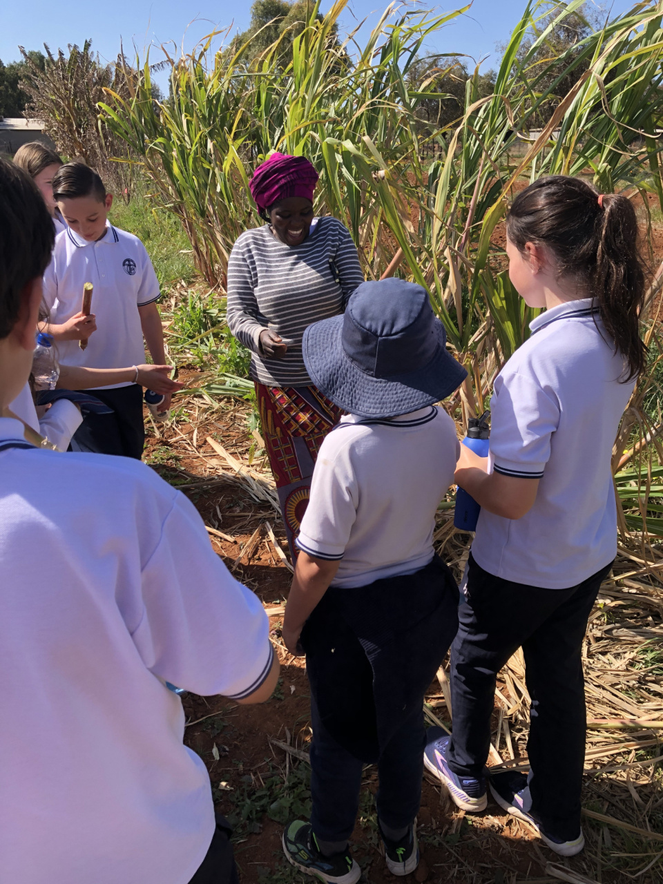 Burundian Community Farm | Henderson College