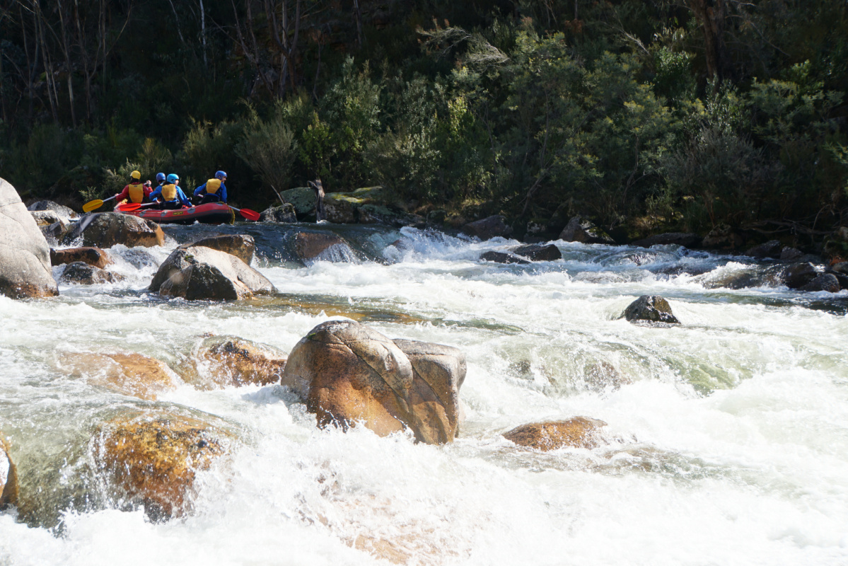 Year 9 STEM Experience: Casey Tech | Heritage College
