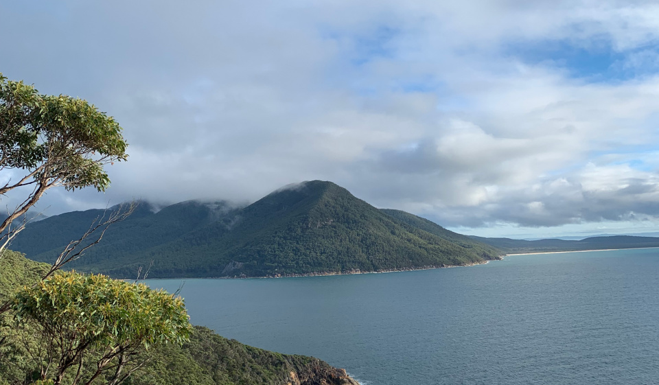 Search Results | Gilson College