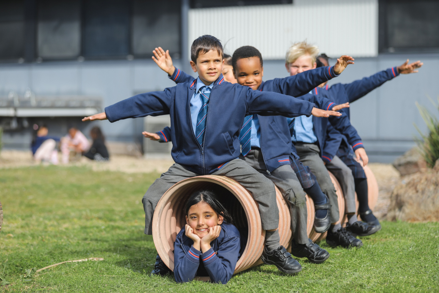 Primary School | Mernda Hills